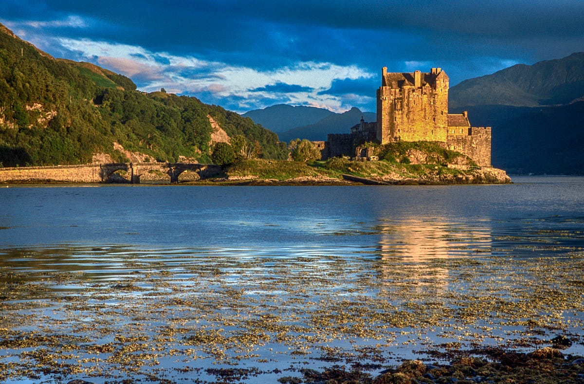 Yellow. I always hated the color yellow. | by Kaitlin VanAlstine | Medium