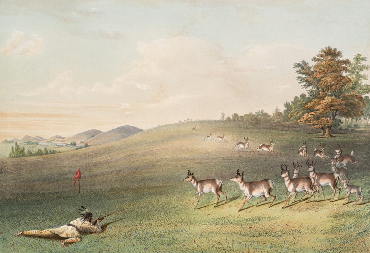 Day 56: Threat Hunting with Sigma & KQL — Hunting Hackers Like a Pro! | by InfosecPandey ...