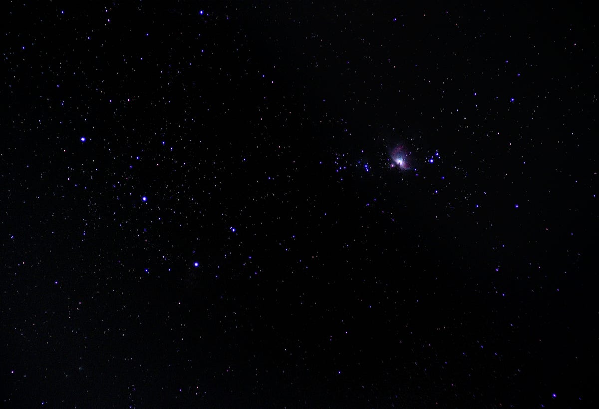 Lyrian & Feline Starseeds. Lyra Constellation | by Muang'Akili Tum'zito ...