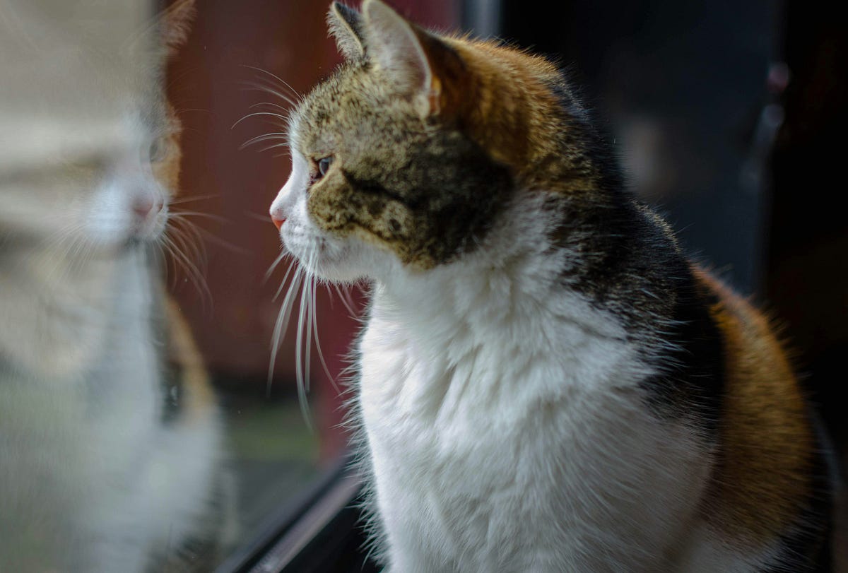 Maybe One Day or Never. The (harsh) truth of the waiting game | by Maisarah Ibrahim | Medium