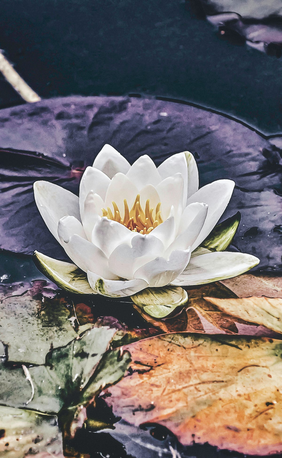 8 Powerful Divine Spiritual Symbols | by Soulful Journey | Medium