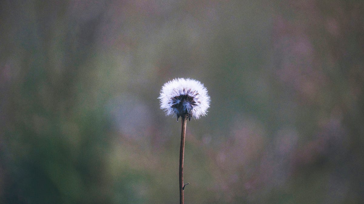 Learning to Embrace Vulnerability After a Toxic Relationship | by Tee ...