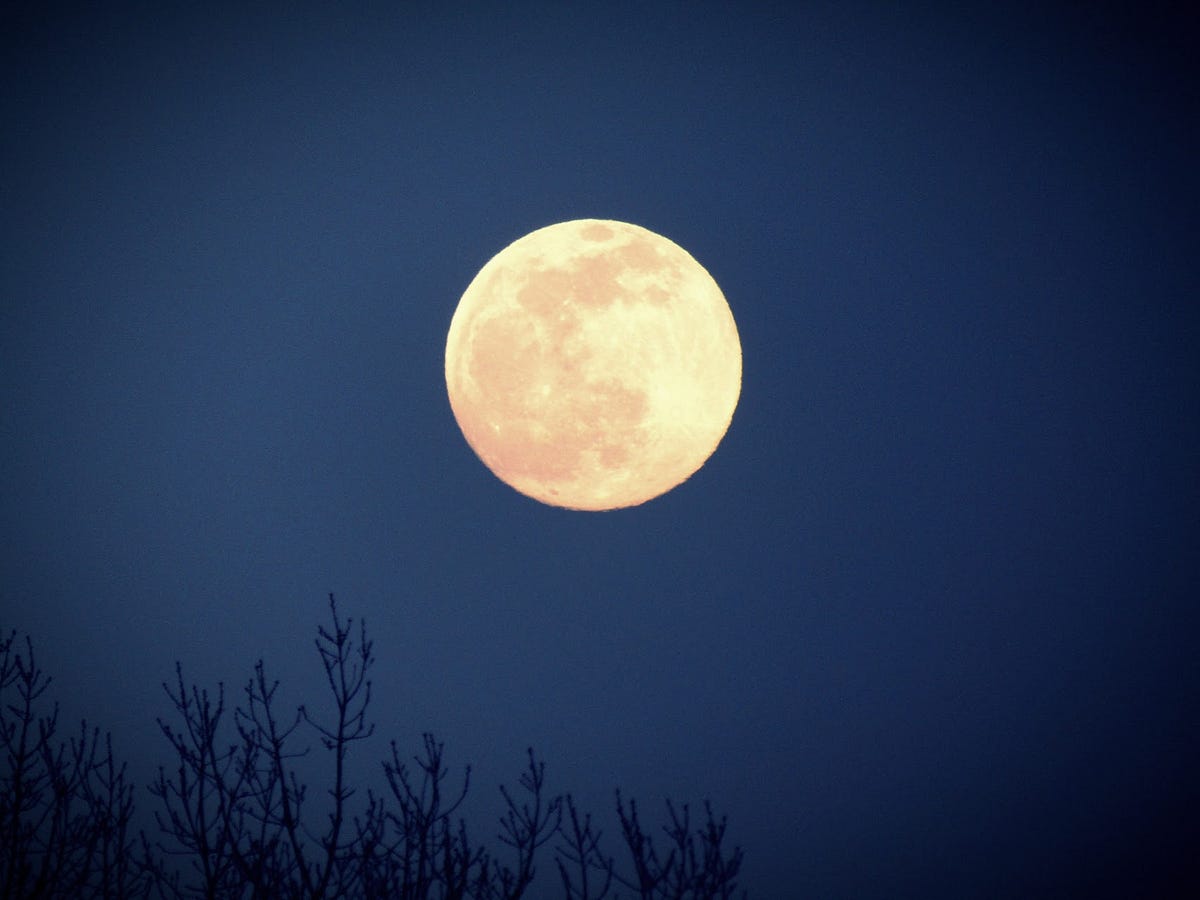 Phases and Reflections: Moon as Metaphor | by Allisonn Church ...