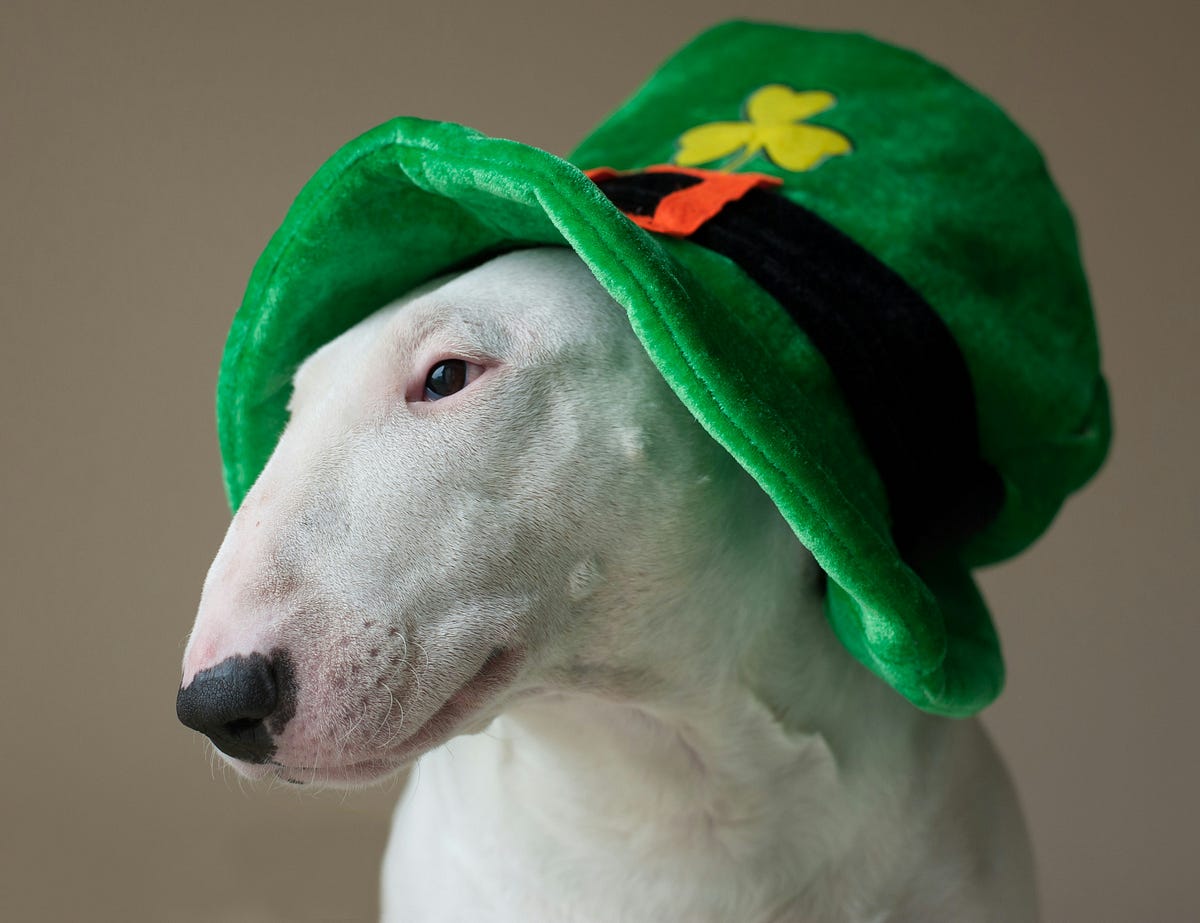 Top 5 Drunken Nights. There’s more to being Irish than green… | by PW ...