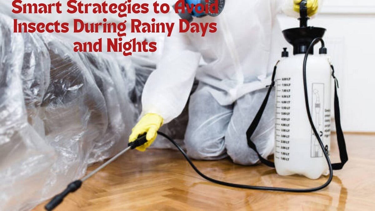 Smart Strategies to Avoid Insects During Rainy Days and Nights | by ...