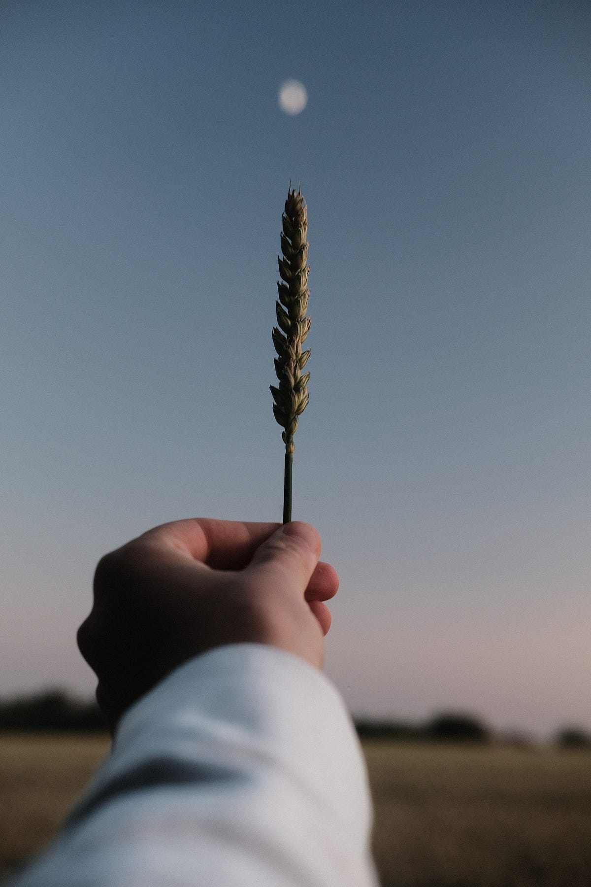 Reprogram Your Patterns: Steps for Effective Behavior Change | by ...