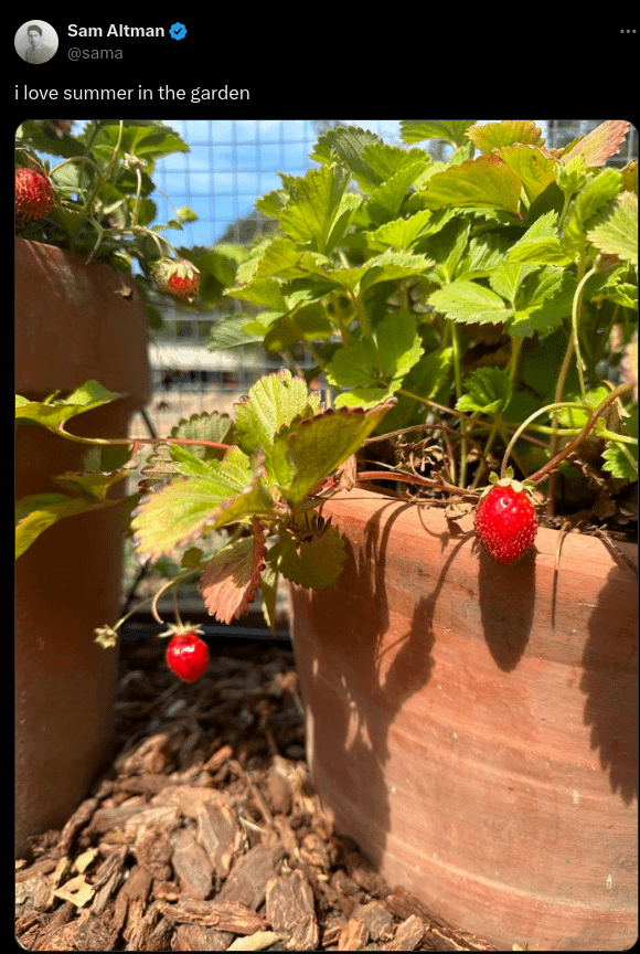 OpenAI Project Strawberry and Q*, Sam Altman’s Tease, and OpenAI DevDay ...