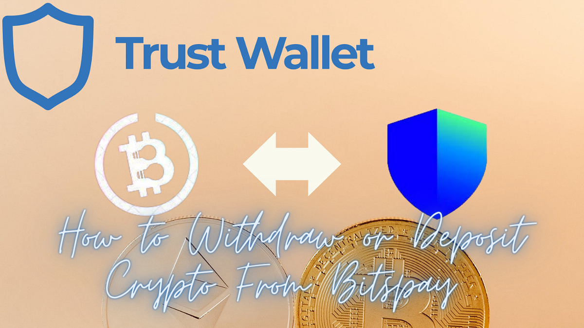 How to Withdraw or Deposit Crypto From Bitspay To Trust Wallet | by Norajpalmer | Medium