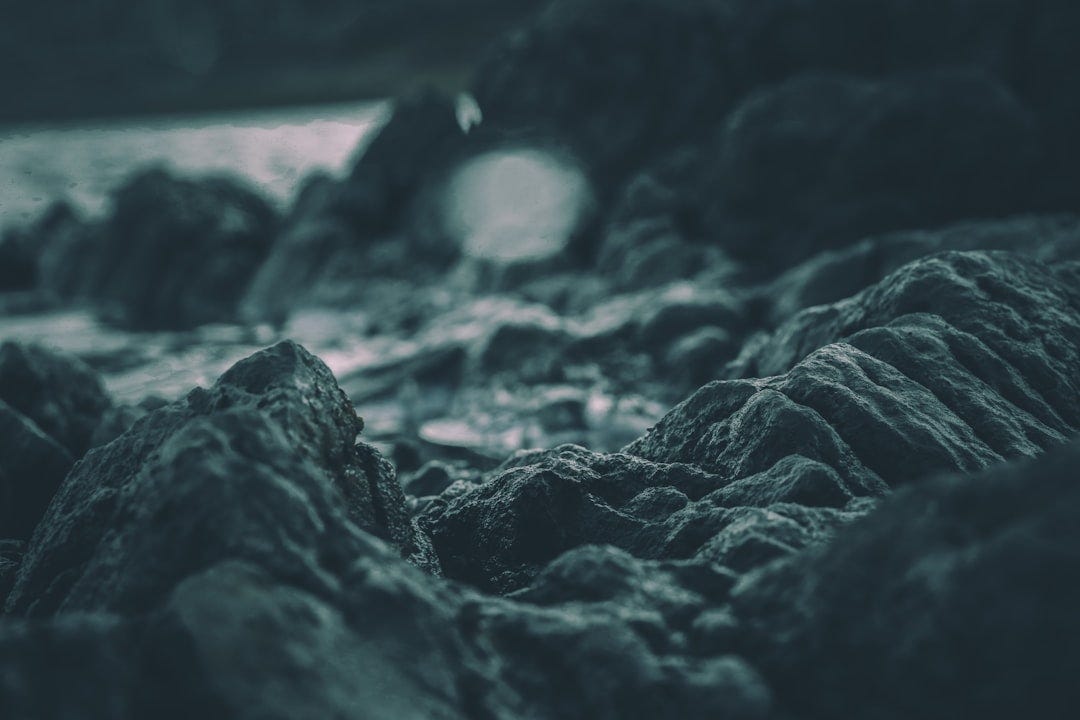 AI plays a crucial role in enhancing financial performance. AI systems ...