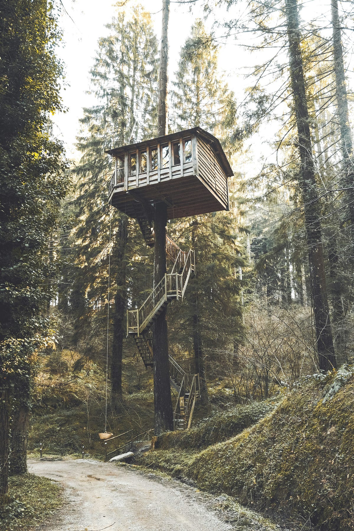 The Treehouse — Chapter 28 —Thunder’s Bison Bunnies | by todd ...