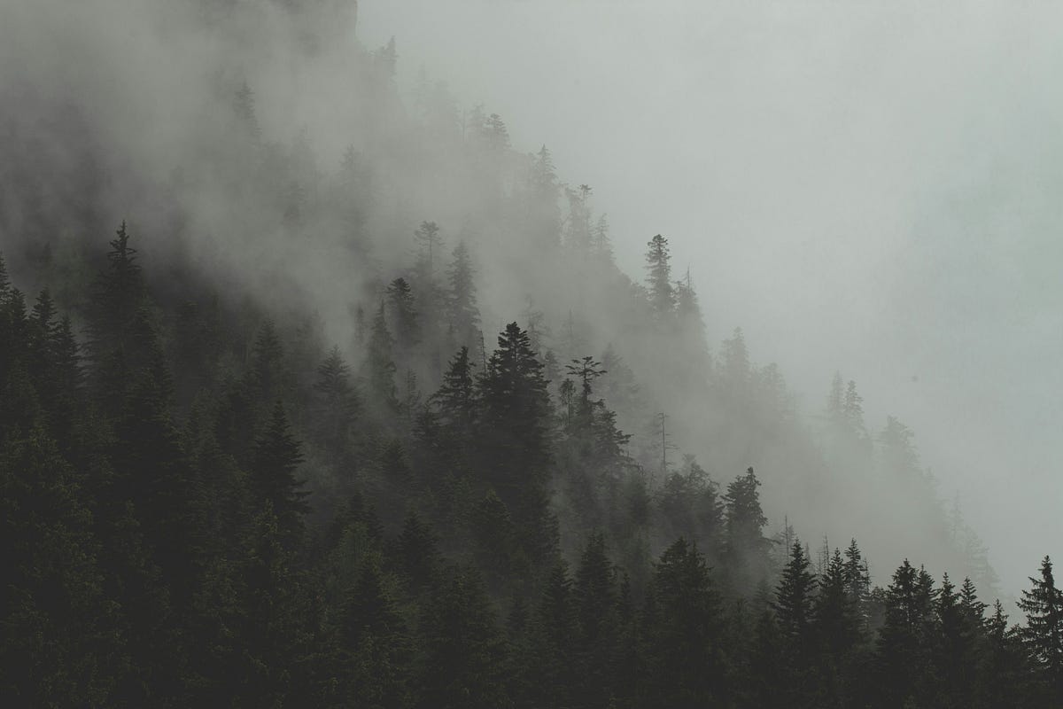 The Shadow of the Misty — Poem. The mist tricked you into a downpour ...