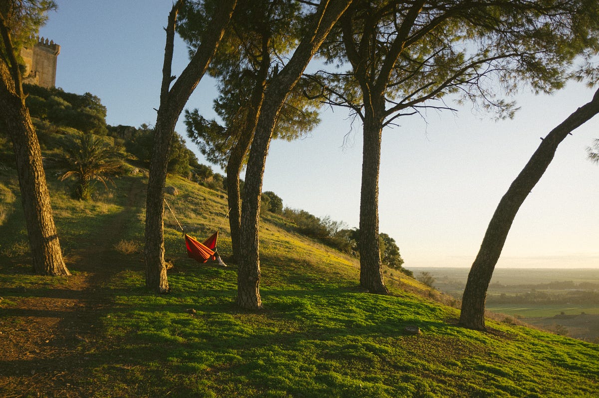 How to spend holidays?. As a professional, it can be easy to… | by Tripti Kumar (@ZeroToTripti ...