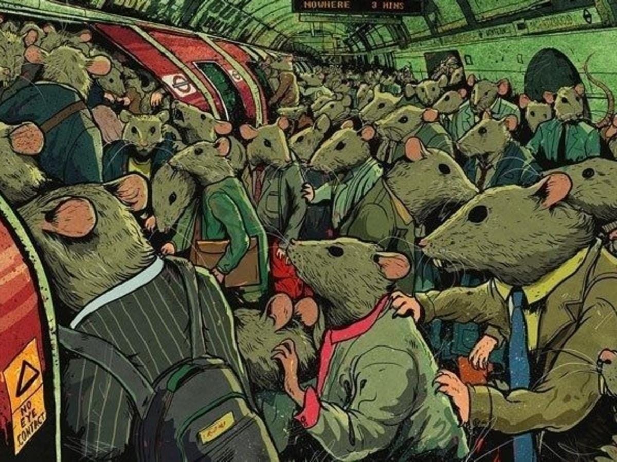 Trapped in the Rat Race: 3 Factors That Keep Us Stuck, and How to Escape | by Gaurav Jain | The ...