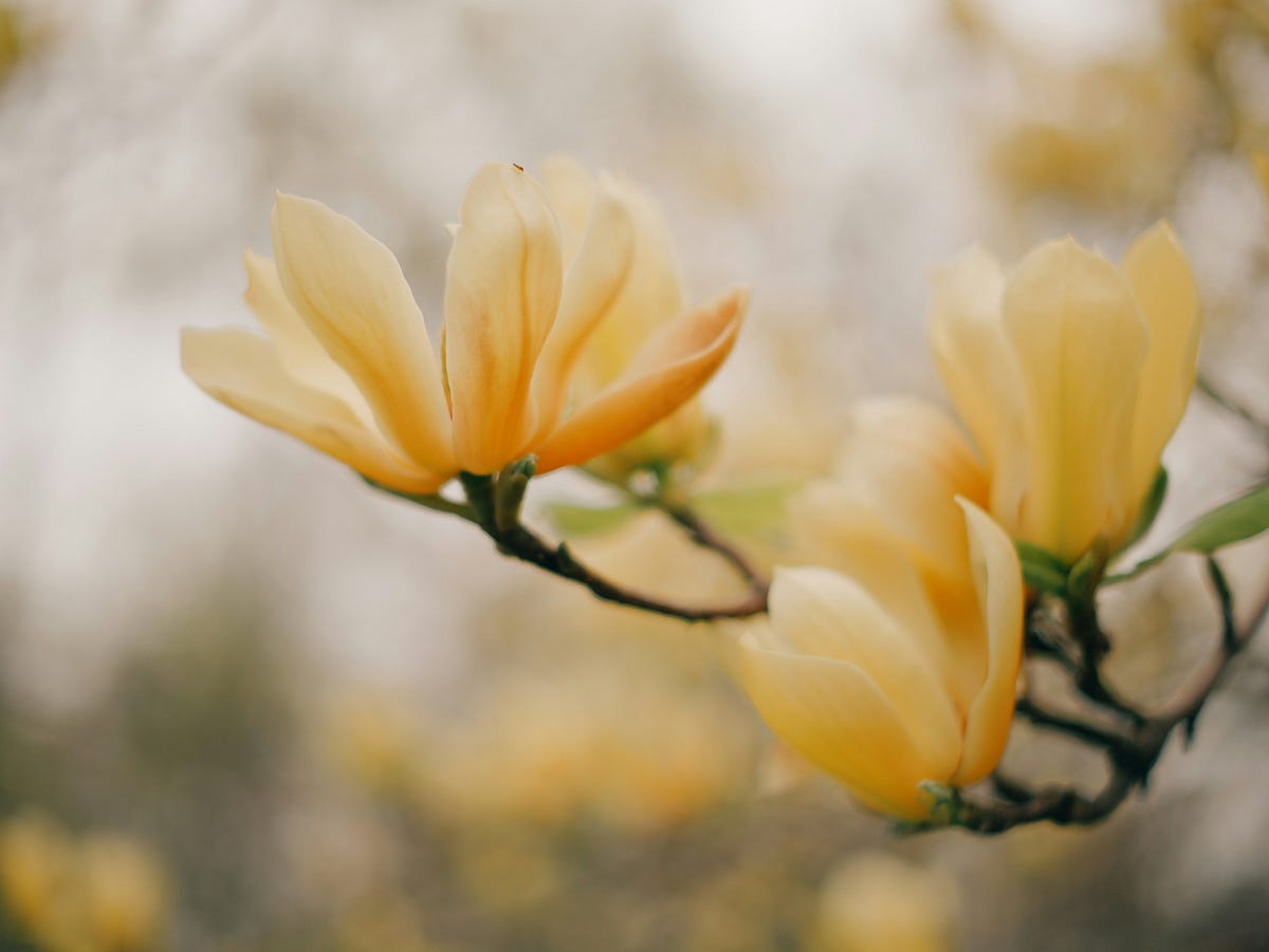 Rishte. Galtiyaan yaad rakhoge toh behes jeet… | by Boring Mess ᥫ᭡ | Medium