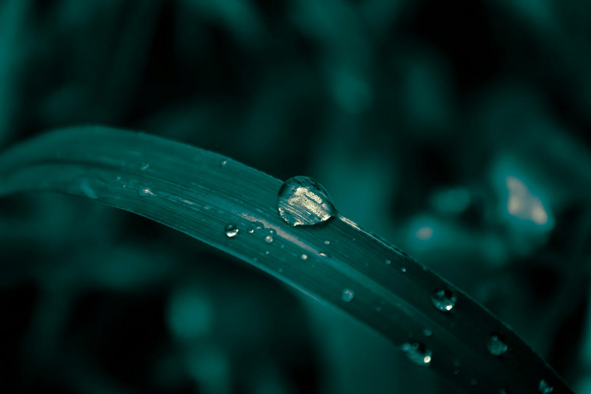The Single Raindrop Never Feels Responsible For The Flood - The Daily ...