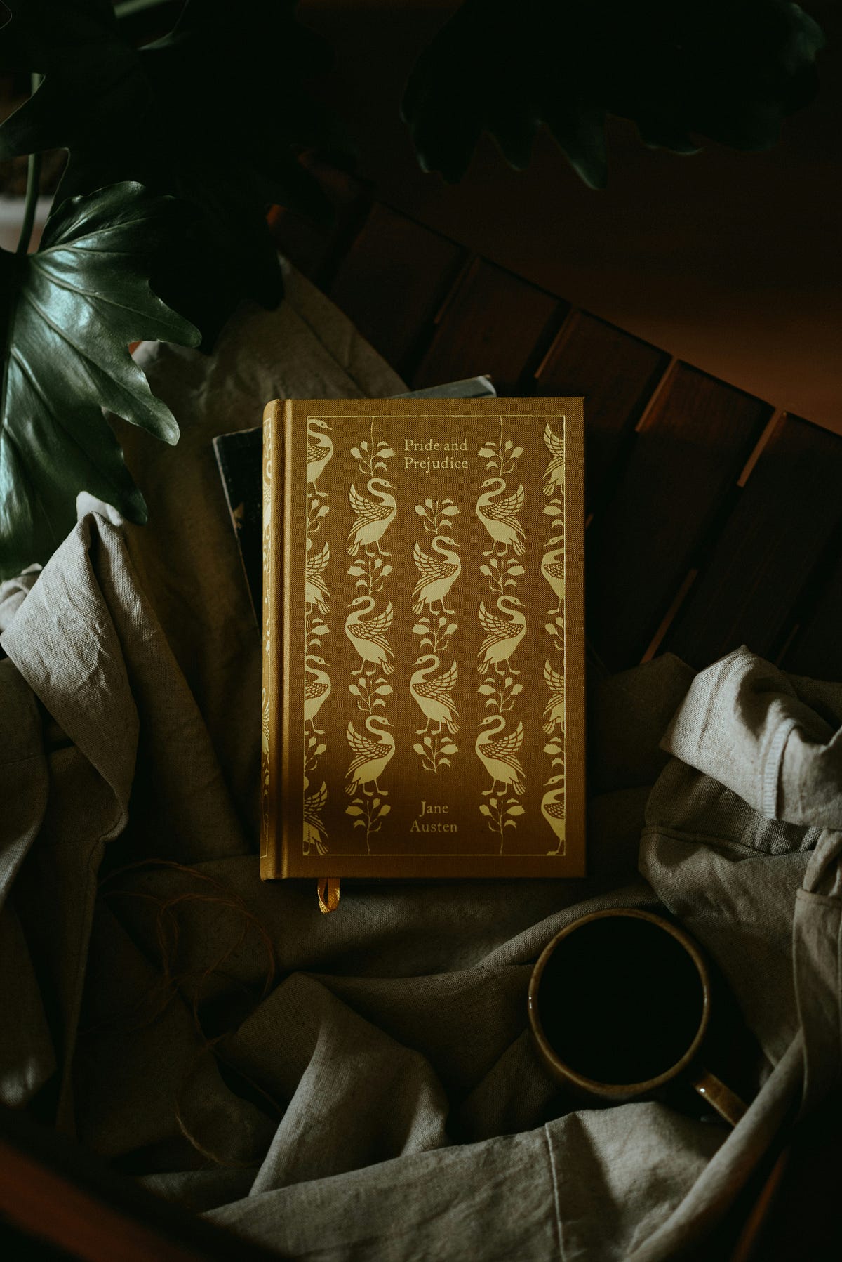Re-reading Jane Austen’s Pride and Prejudice | by June Bright | Aug, 2025 | Medium
