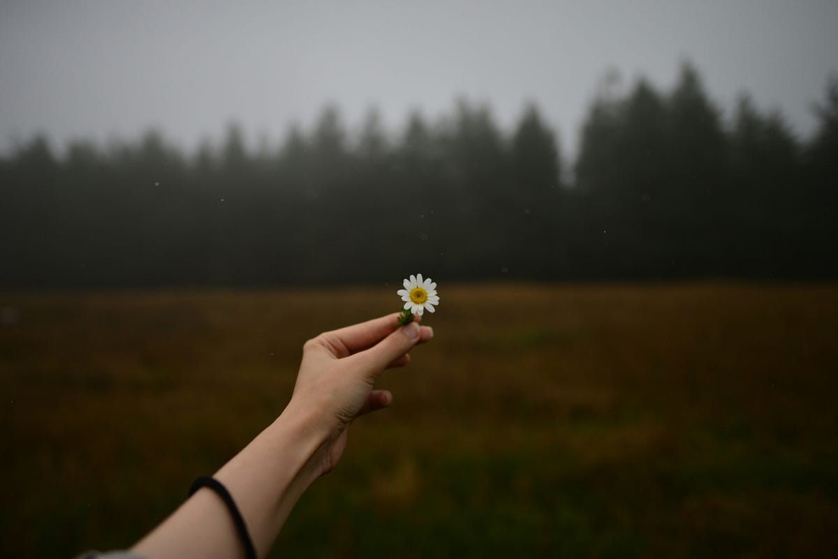 The Hope We Find from Small Things | by Bint e Nazir | Jul, 2025 | Medium