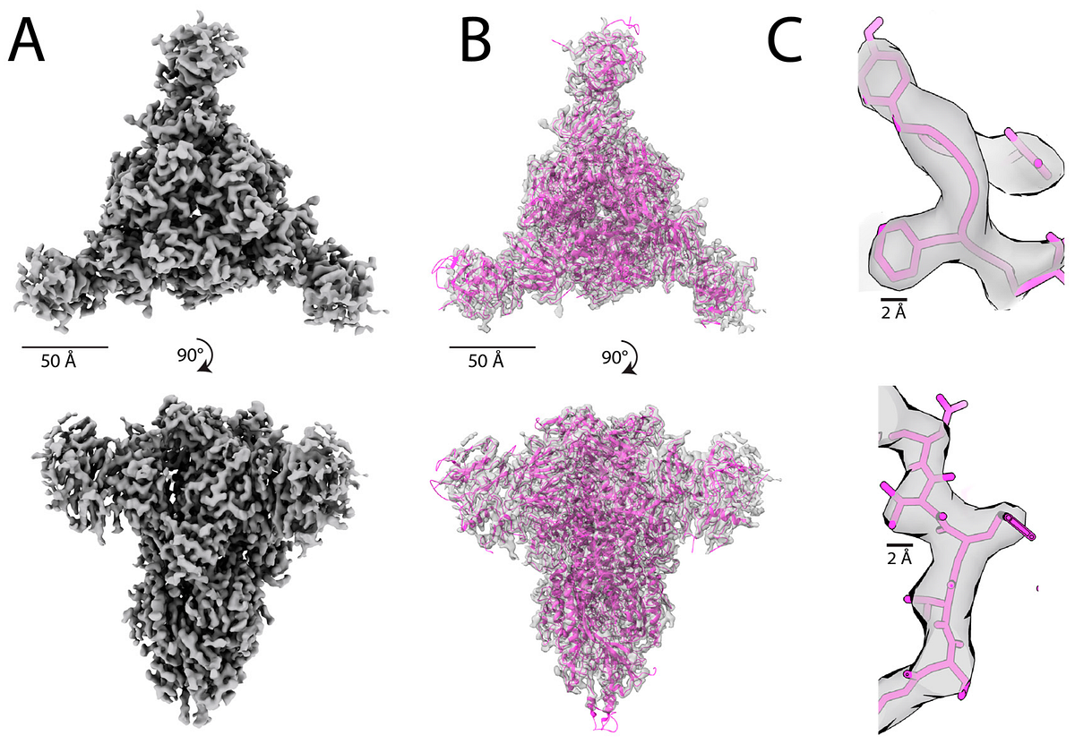 Cryo-EM Data Integration: How AI Turns Noisy Images into Atomic-Level ...