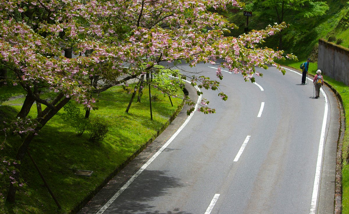 Cycling in Kyoto: Best Routes and Rental Tips for a Scenic Adventure ...