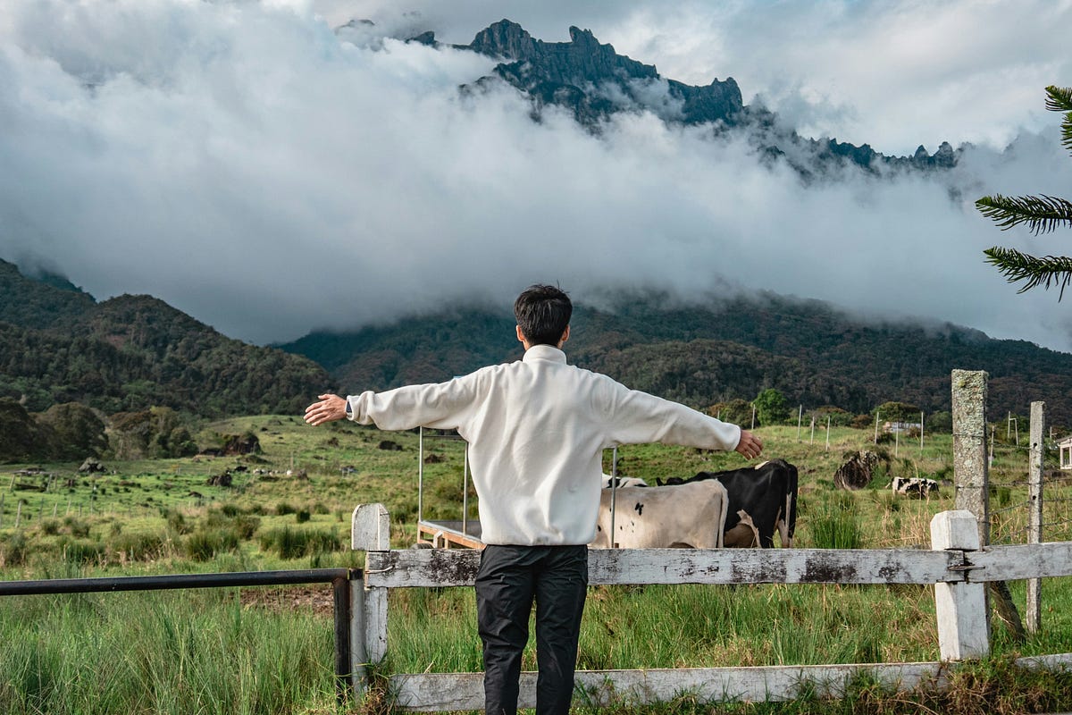 13 Reasons Why We Need to Live. There was a moment in my life when I ...