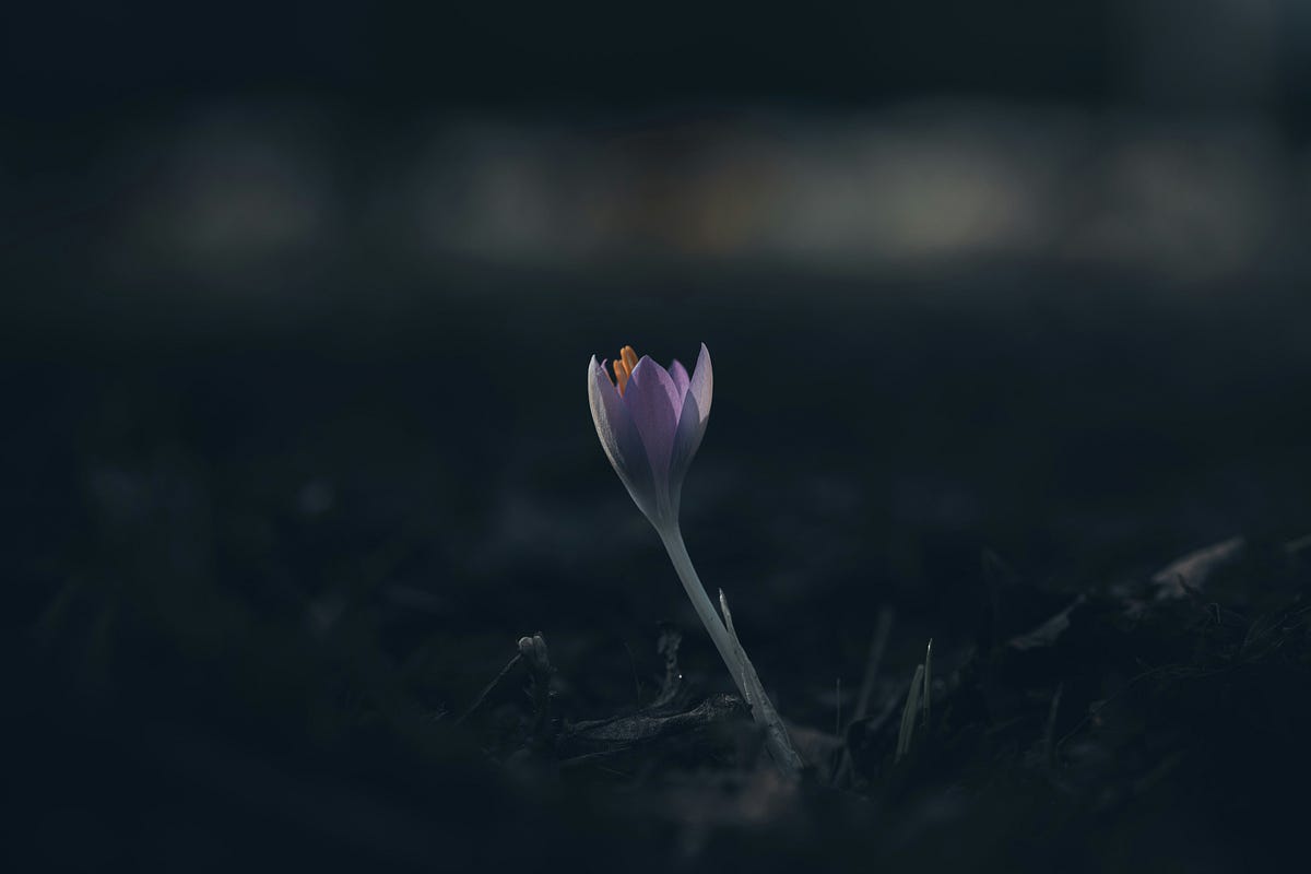 Still Becoming.. We are poems not yet written, Stories… | by ANILA DINA ...