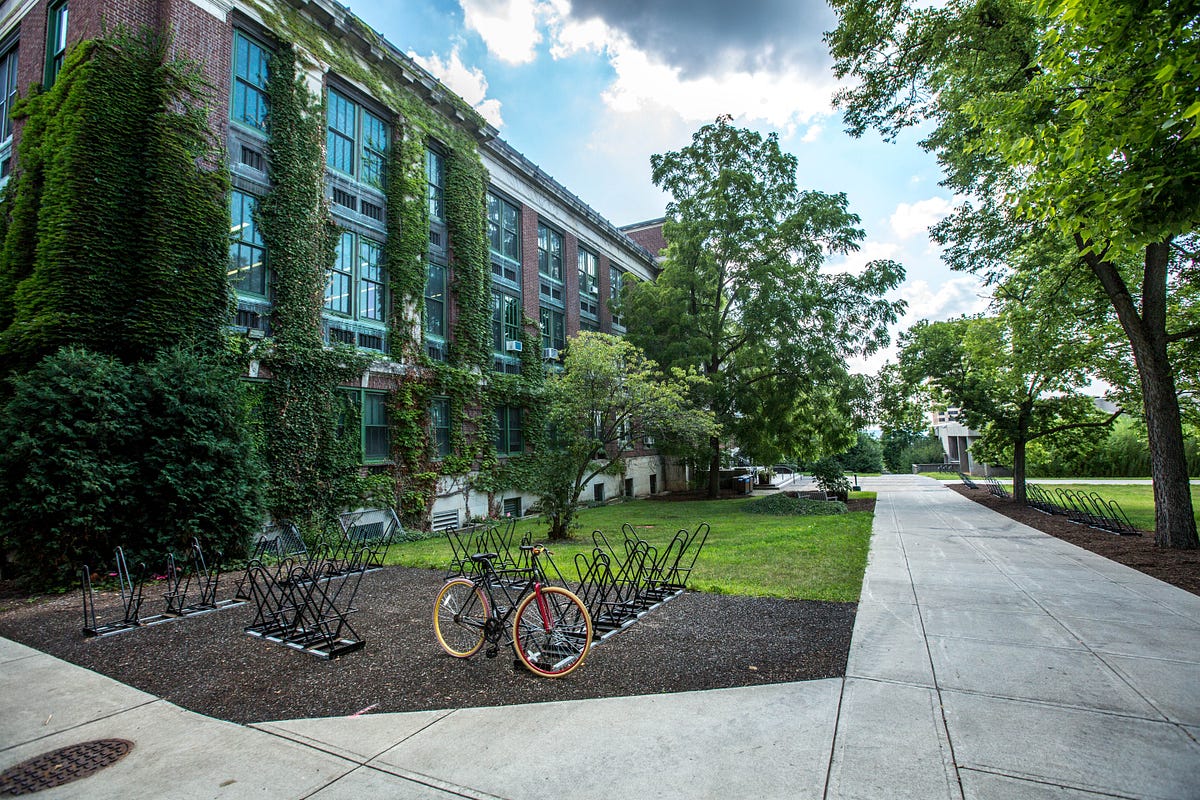 Greening the Campus: 8 Sustainable Steps for an Eco-Friendly University ...