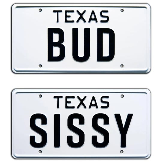 Funny License Plates | by Rebecca Lopez | Jul, 2024 | Medium