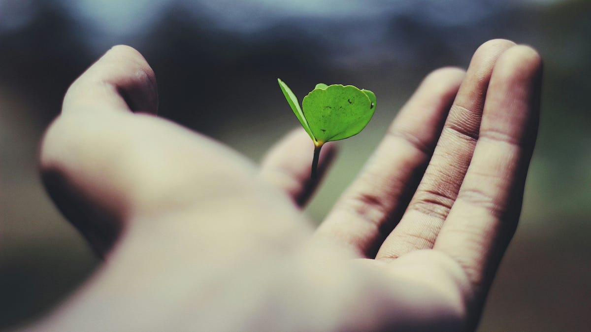 Create The Wondrous Meaning Of Your Life and Destiny | Freelance Express