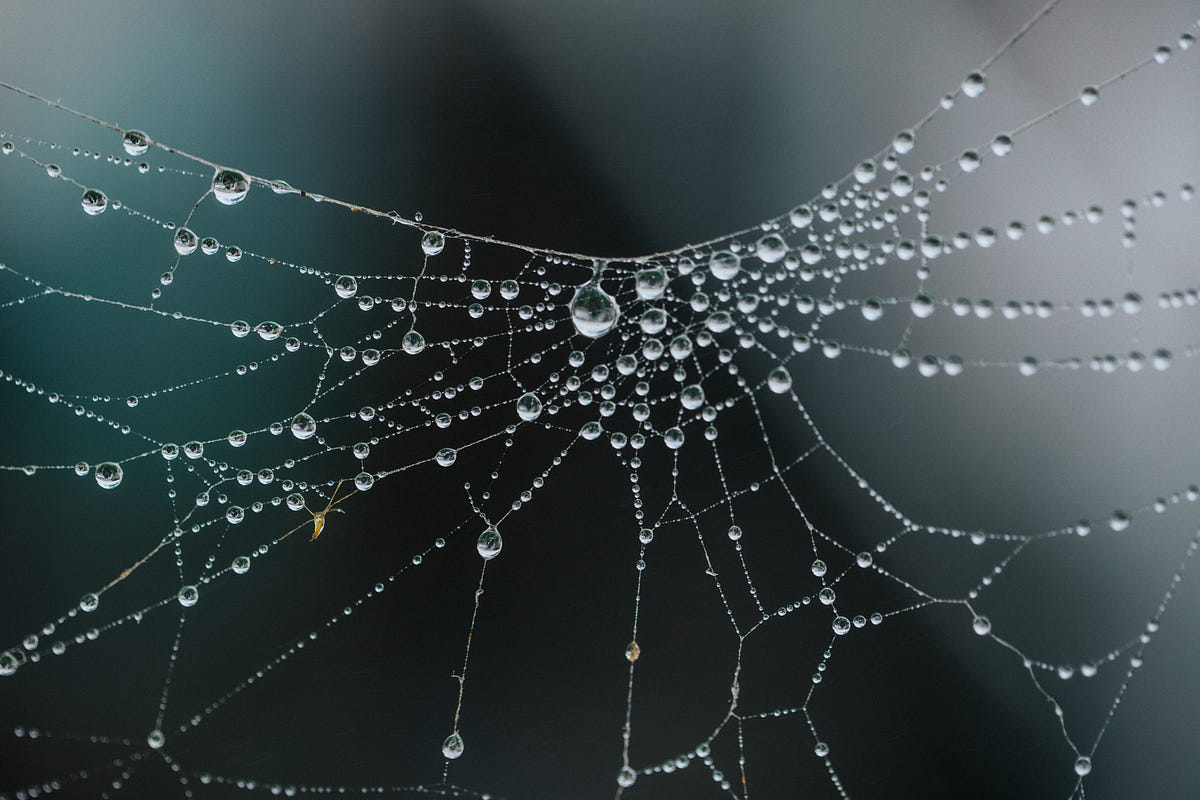 Using the Common Crawl as a Data Source | by Samuel | Medium