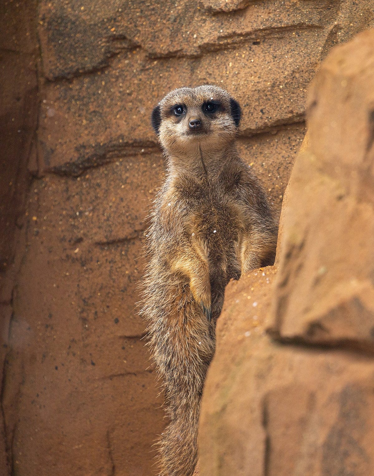 The Fruit of Being Alert. Photo by Andy Holmes on Unsplash | by Bir ...