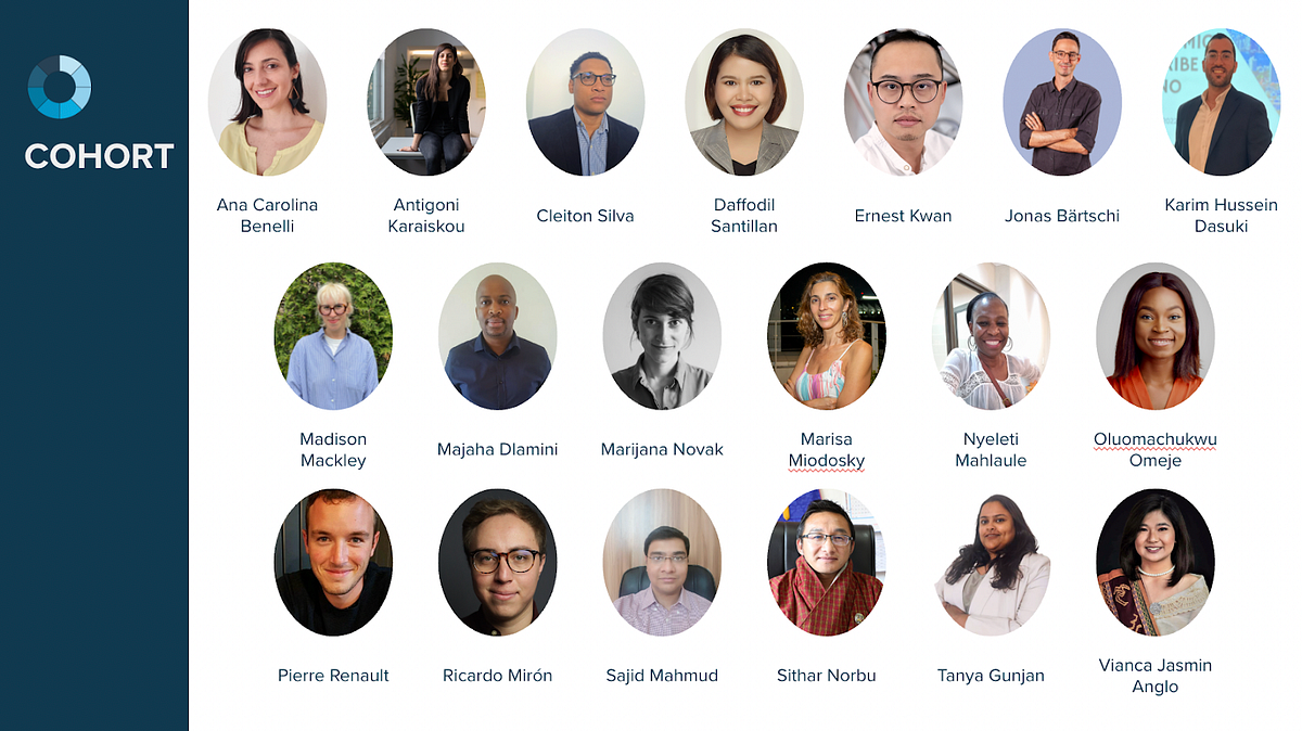 Charting the Path: Reactions and Lessons from Building a Robust ...