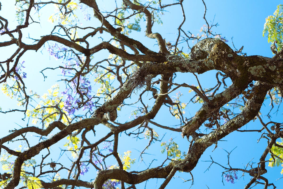 Environmental Psychology and Problem Solving | by Lewiscoaches | New ...