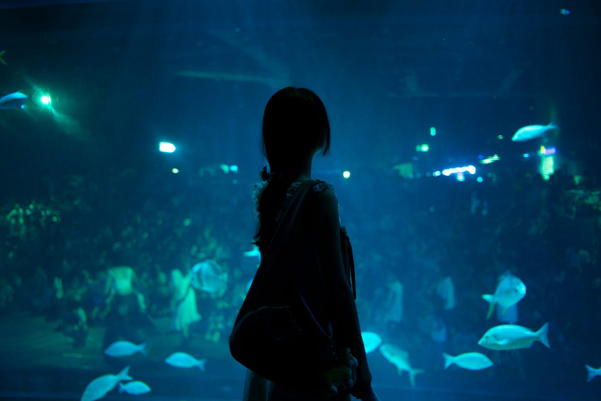 Finding Meaning Again. When Life Feels Like a Blank Page | by Vaibhavi ...
