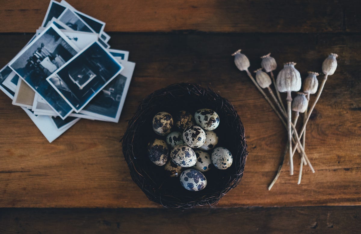 Adding Banners and Images to Your Github Repository | by Erikka Innes ...