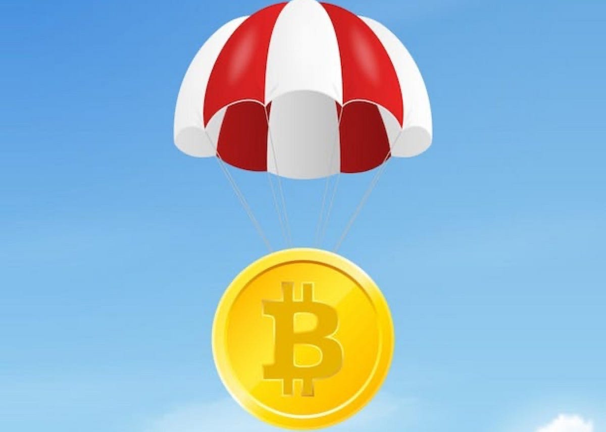 Bone Airdrop: Dive into the Future with Free Tokens | by Quantum Quills ...