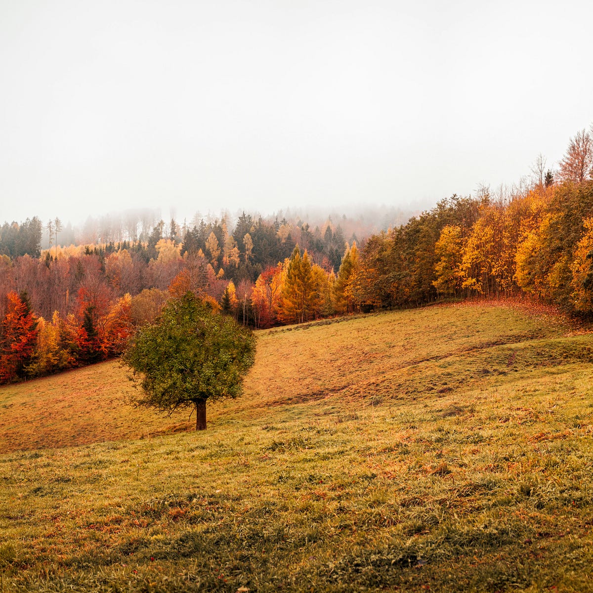 A Poem About Seasons - Kieran Hunter - Medium
