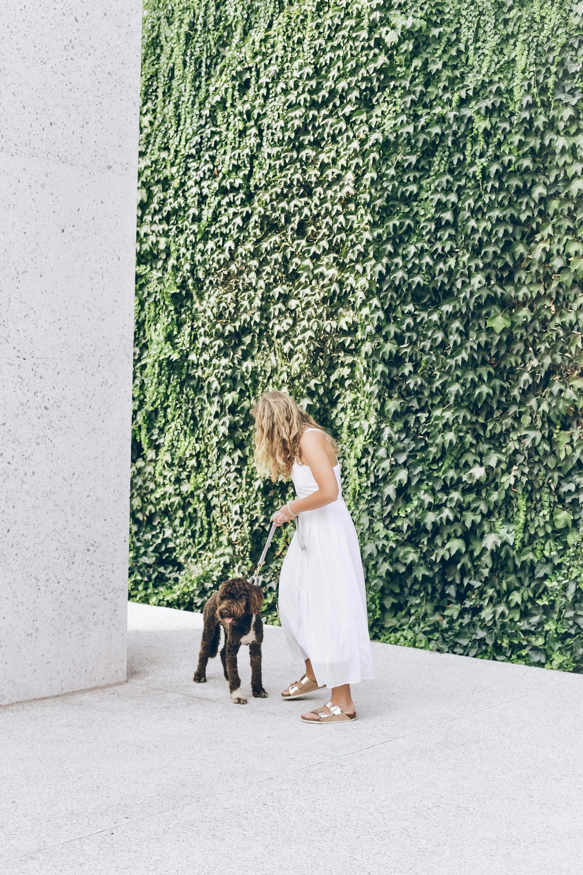 I Wish I Had A Friend. These four-legged ones | by Melissa Steussy ...