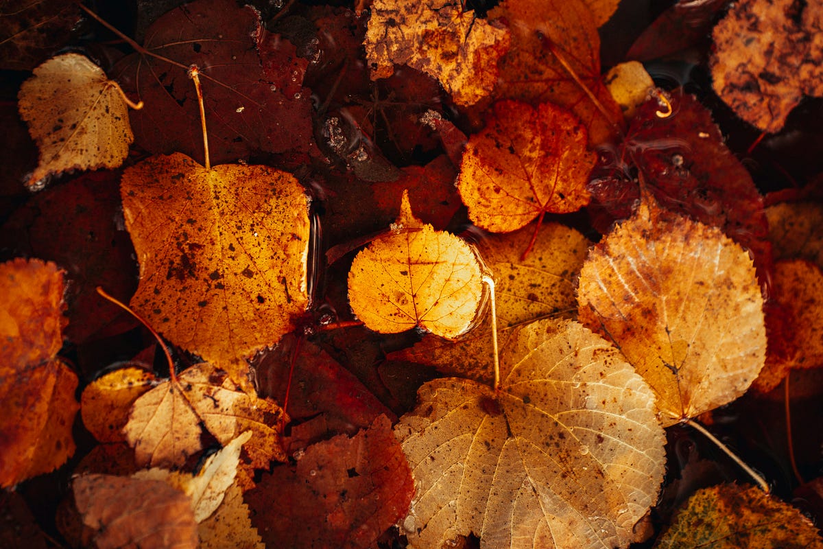 Right Way To Add Javascript In Html File By Sagar Oct 2024 Medium