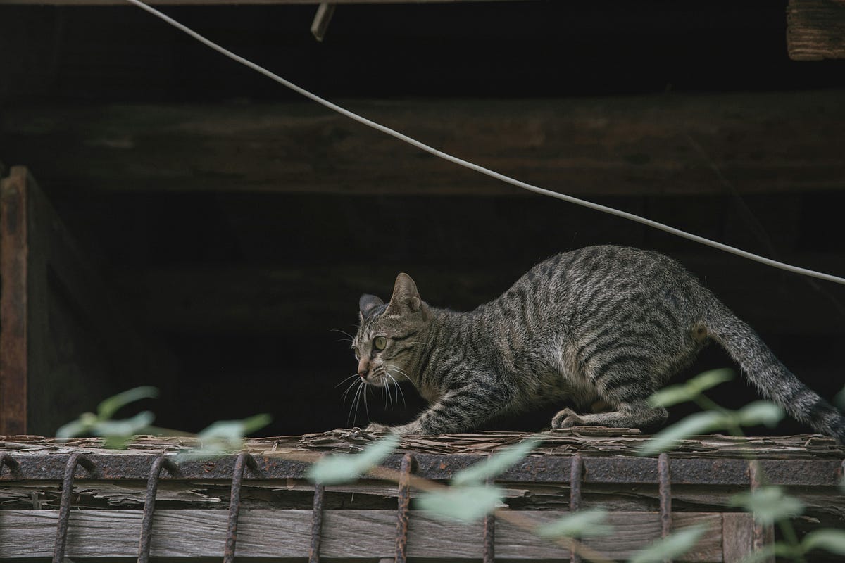 The Quiet Power of Showing Up Before You Feel Ready | by Brad G ...