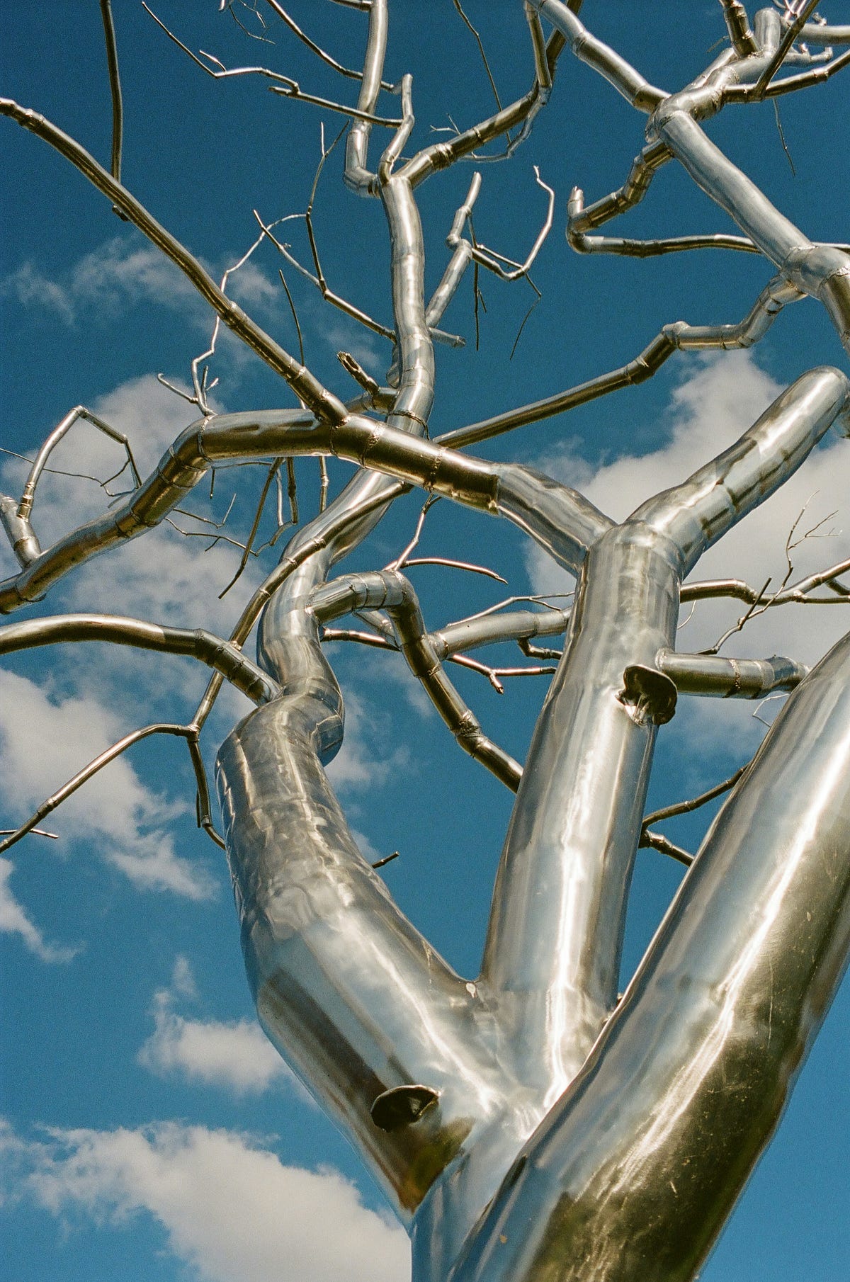 Mechanical Trees: A Possible Solution to Climate Change | by Ike Etn ...