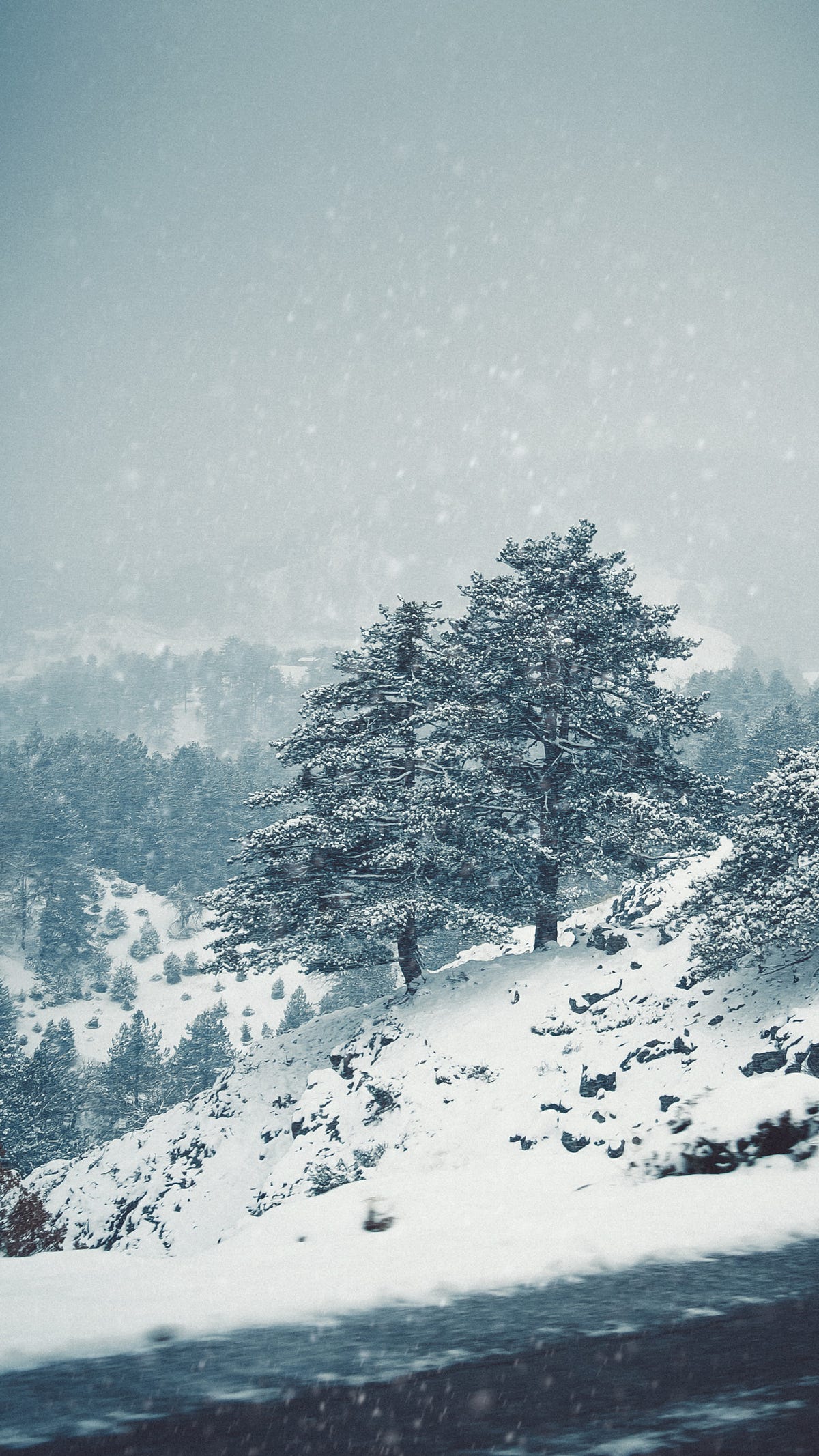The Magic of the First Snowfall. It takes my breath every time. | by ...