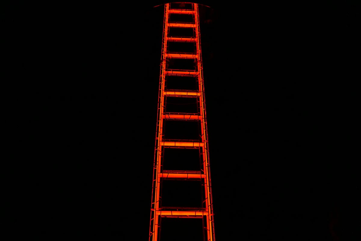 Why does not a ladder climb?. A Reflection on Purpose and Growth | by ...