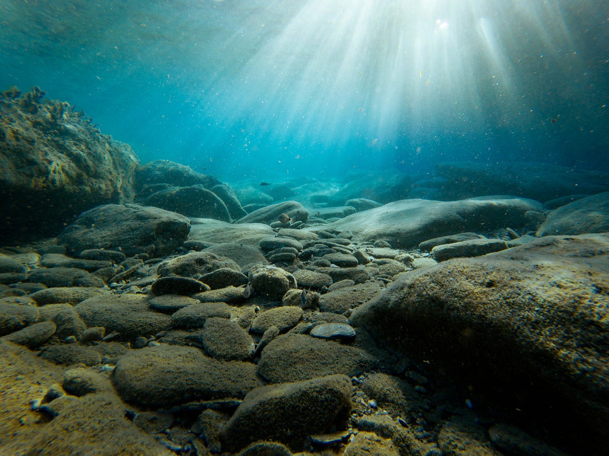 What Is Below Rock Bottom? - Tara Lee - Medium