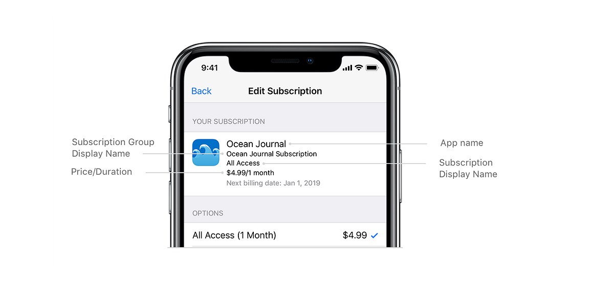 HOW TO FAST TRACK YOUR APP THROUGH APPLE’S APPROVAL PROCESS | by Codal ...