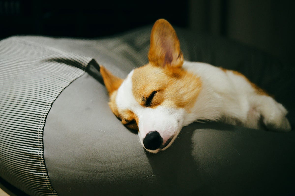CORS Vulnerabilities Explained: Misconfigurations, Real Risks, and How ...