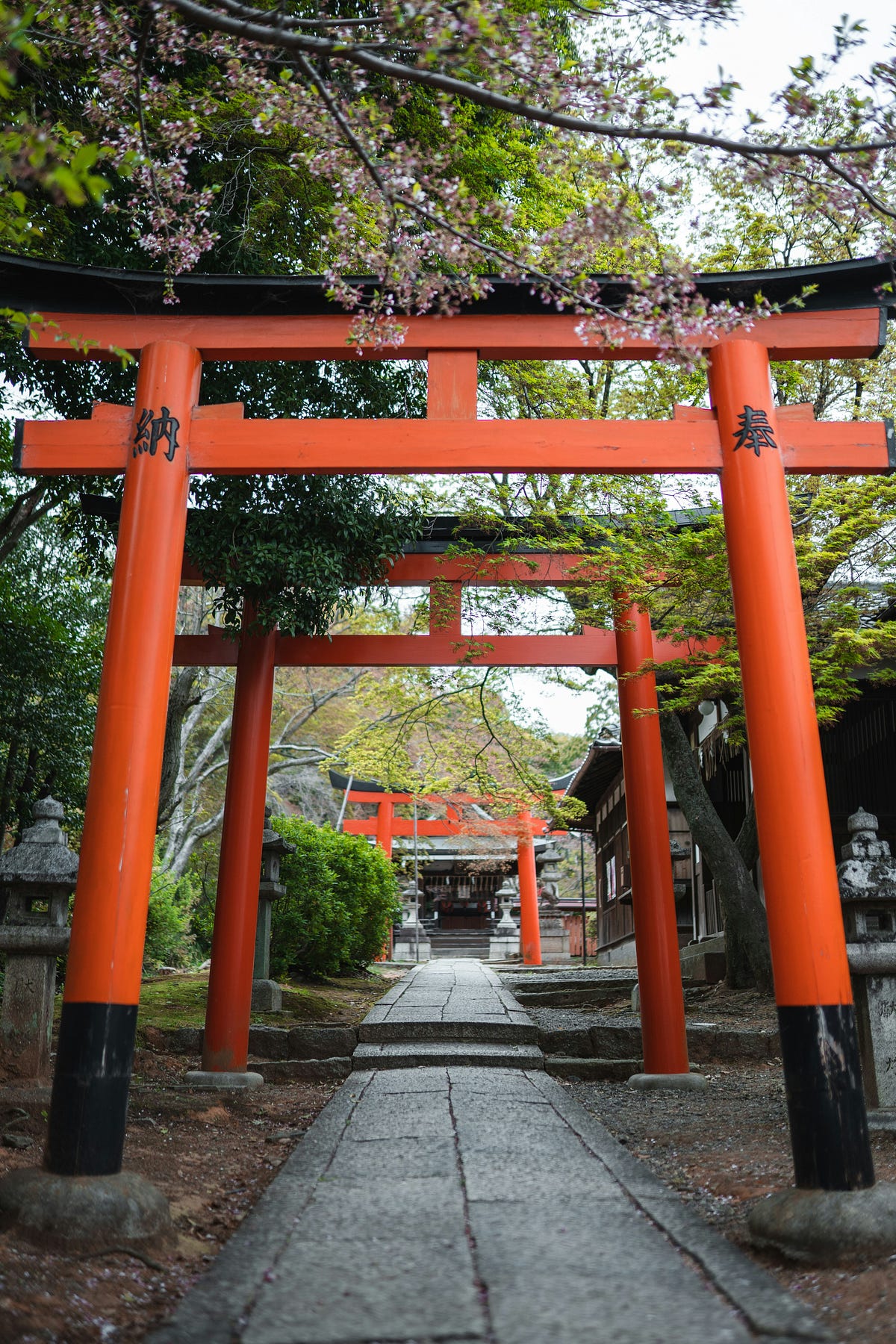 Kyoto’s Ghost Stories and Haunted Locations: A Spooky Exploration | by ...