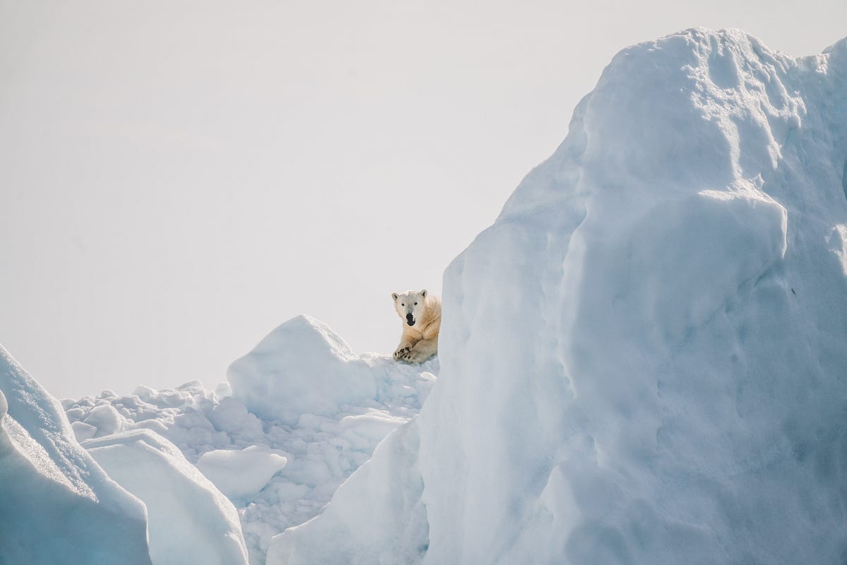 Can Science Save the Ice Caps?. A new remarkable machine promises to do ...