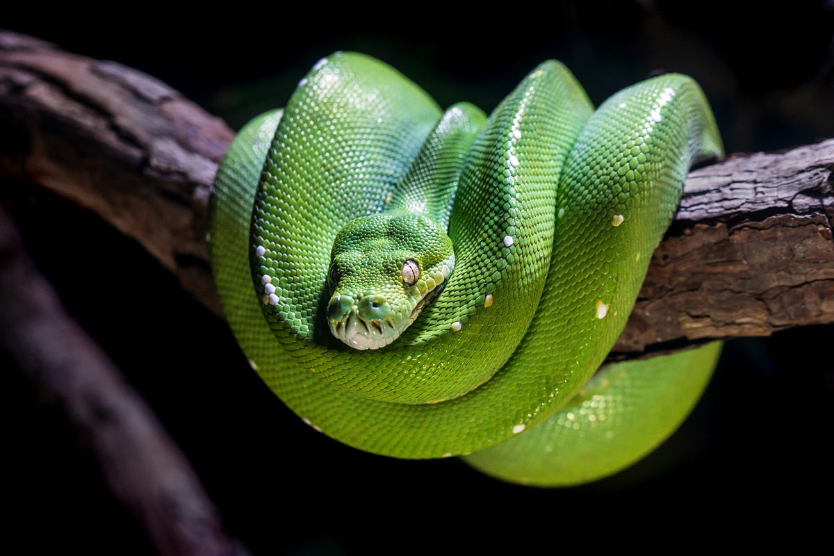 8 Ways to Run Python Programs. There are various ways to run a Python ...