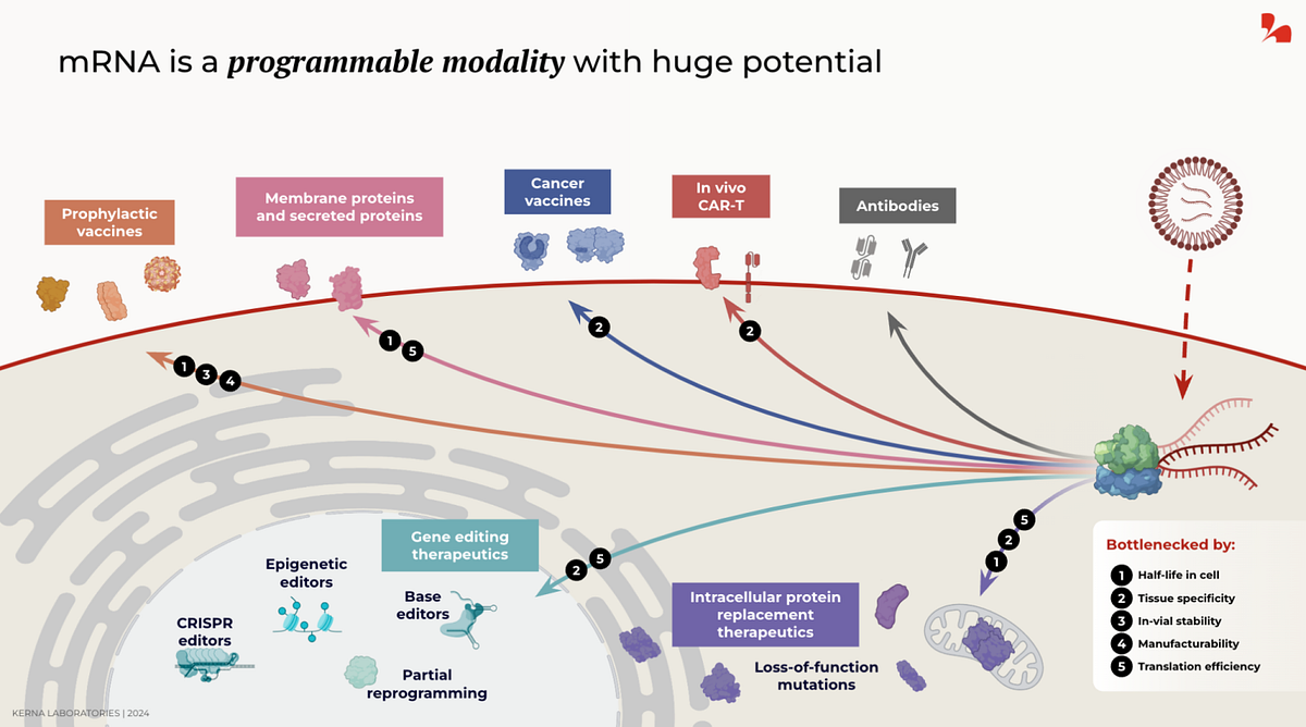 Why Tau Ventures Invested in Kerna Labs? Harnessing AI to transform RNA Therapeutics | by Amit ...