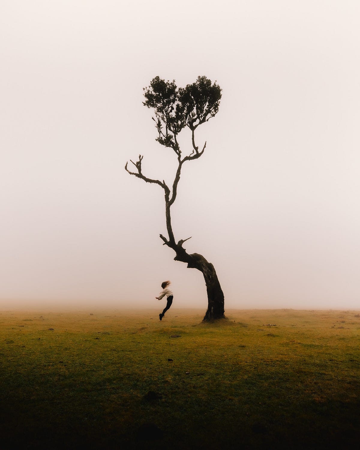 LIFE KNOWN OR UNKNOWN. In operative or relative connection… | by Kumari ...